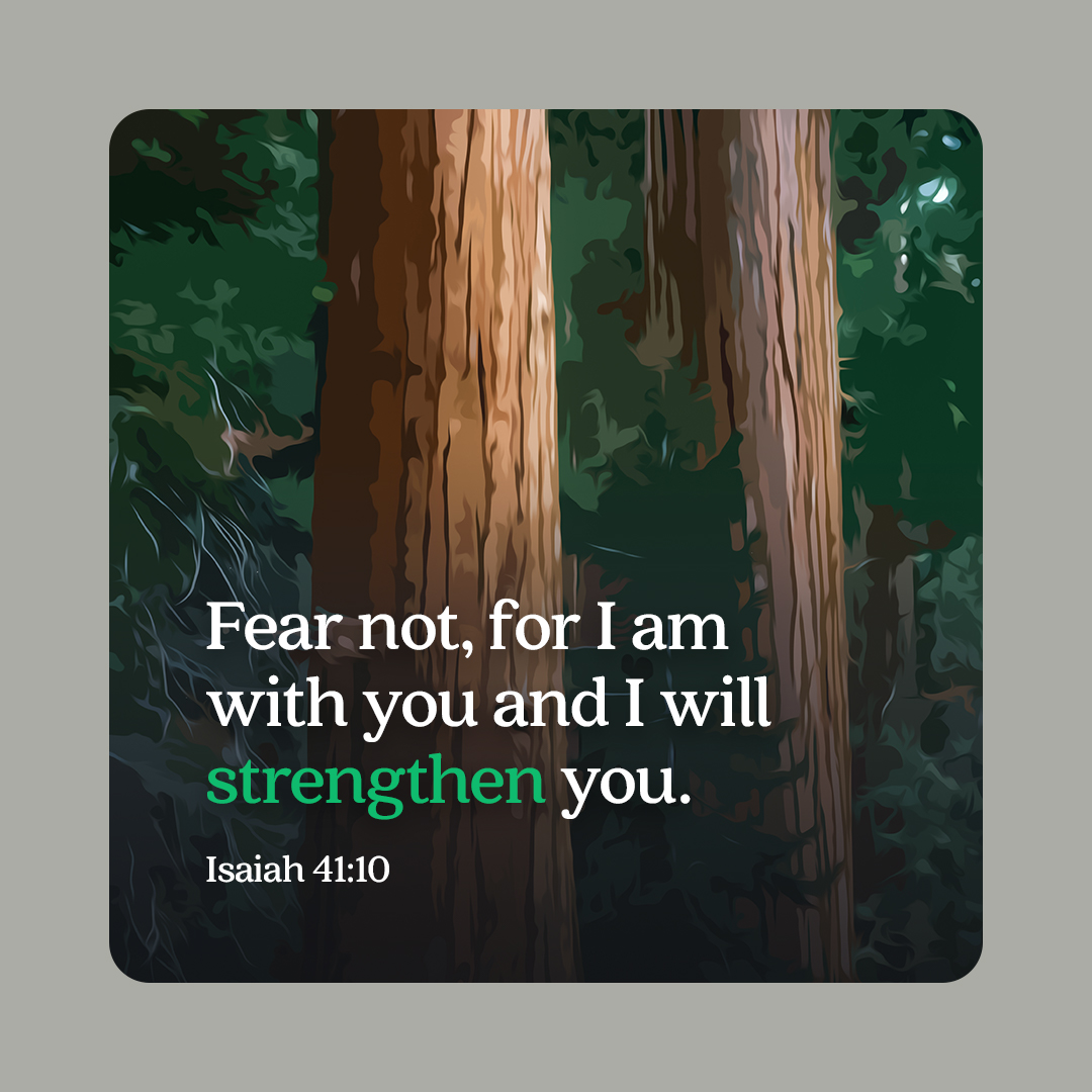 Isaiah 41 10 The Verse Project Biblical Encouragement From God s isaiah-41-10-the-verse-project-biblical-encouragement-from-god-s