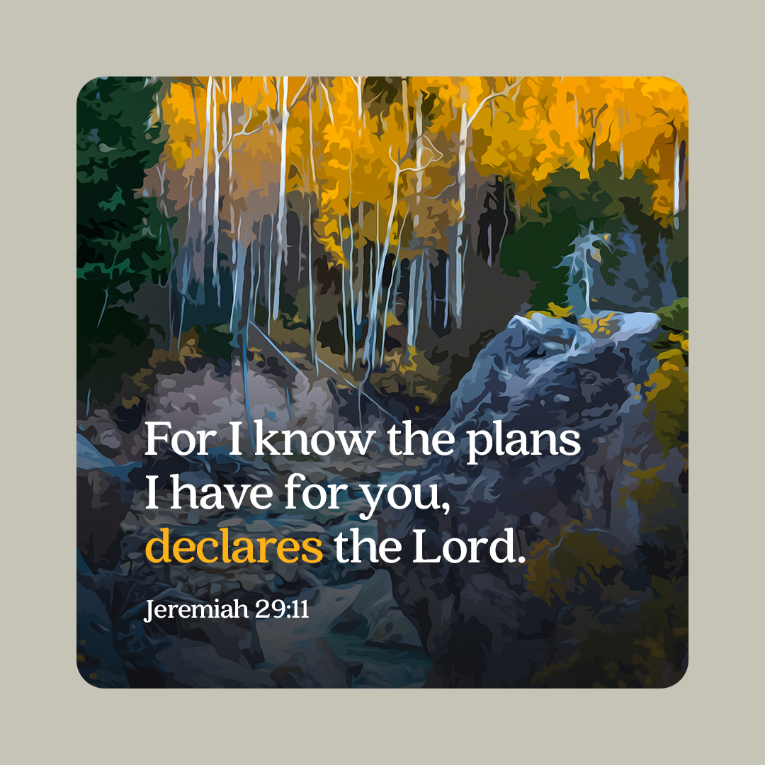 Jeremiah 29:11 | The Verse Project | Biblical Encouragement from God's ...